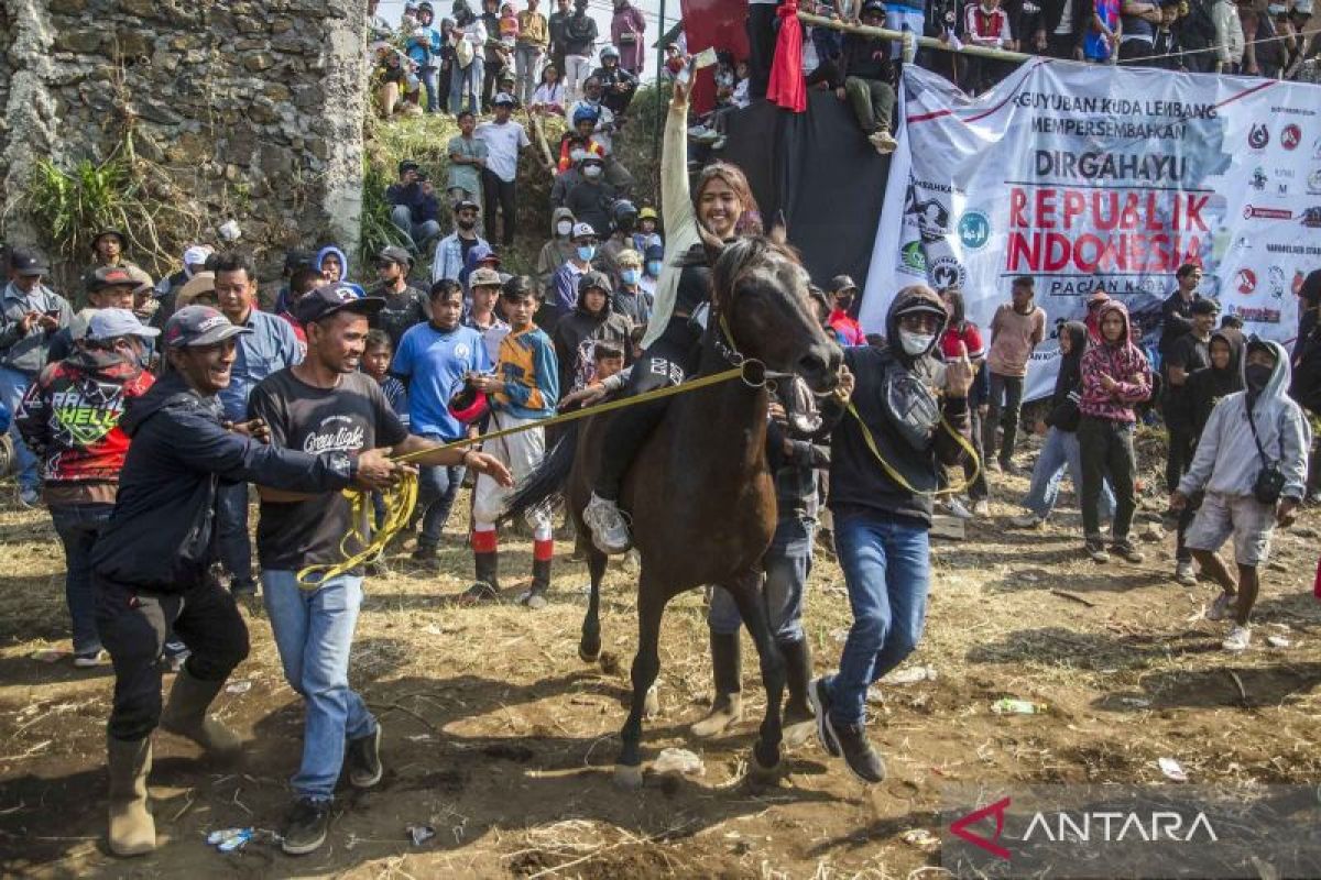 Pacuan kuda tradisional jadi hiburan rakyat di Lembang - ANTARA News