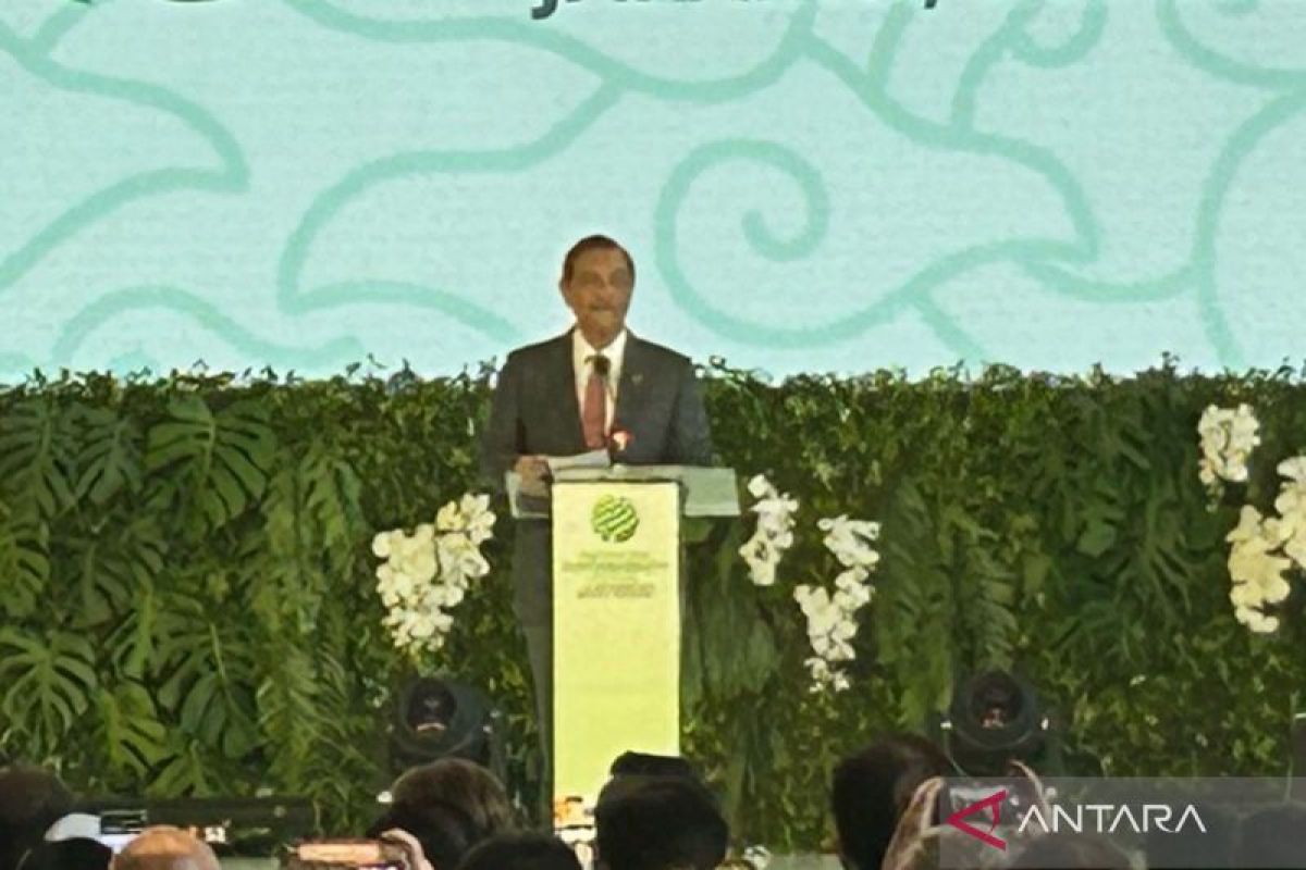 Menteri Luhut sebut Indonesia bisa melampaui ekonomi Rusia - ANTARA News