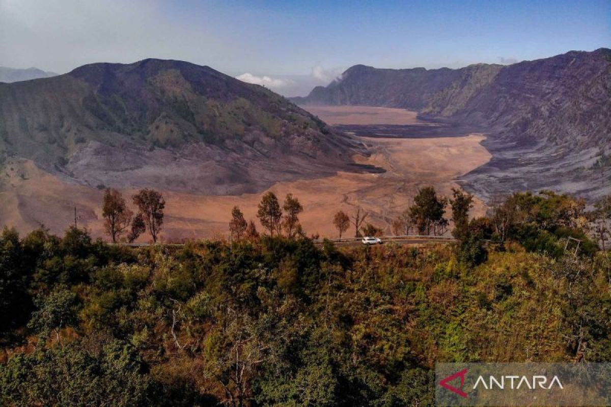 Karhutla di Gunung Bromo telah hanguskan ratusan hektare - ANTARA News