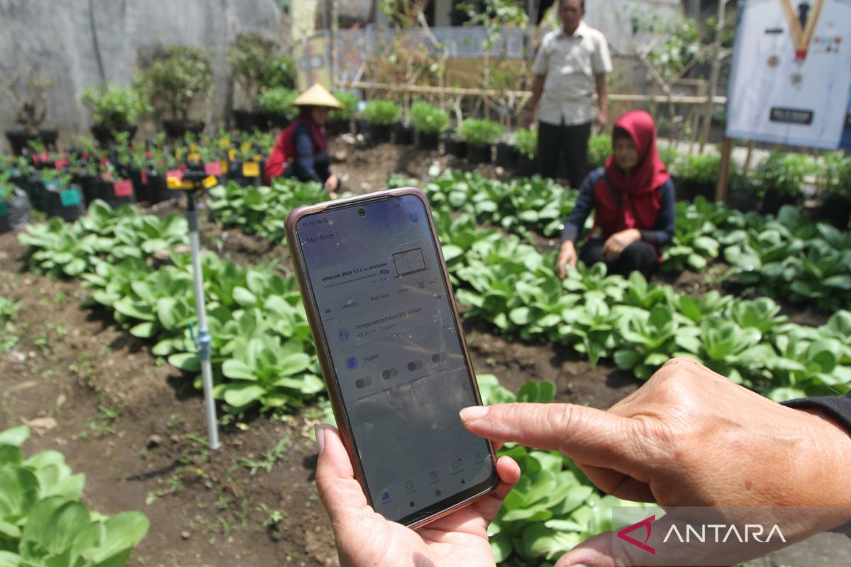 Pemanfaatan IOT pada pertanian perkotaan di Malang - ANTARA News Jawa Timur