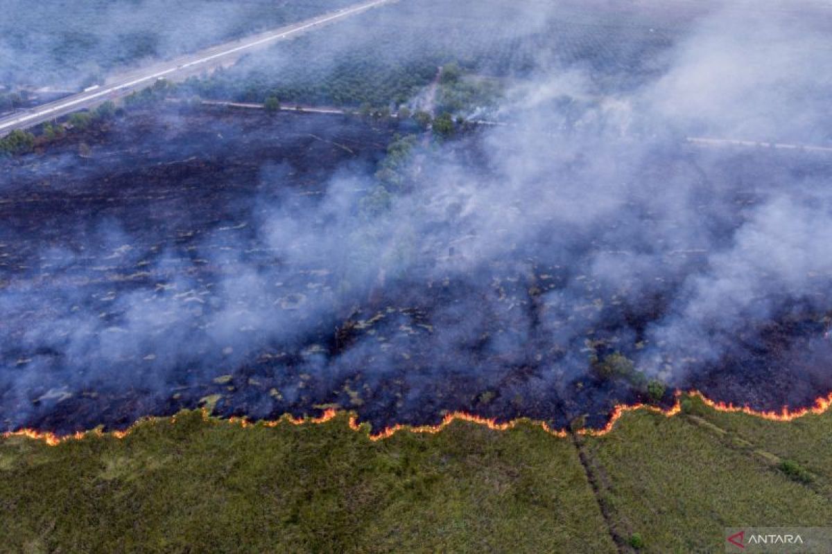 Angin hambat usaha pemadaman kebakaran lahan samping Tol Palembang ...