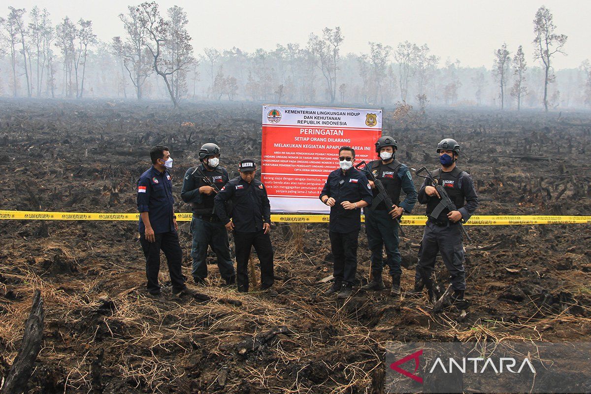 KLHK segel lahan terbakar milik perusahan - ANTARA News