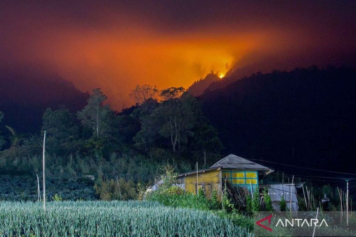Tanggap darurat bencana karhutla Gunung Lawu - ANTARA News