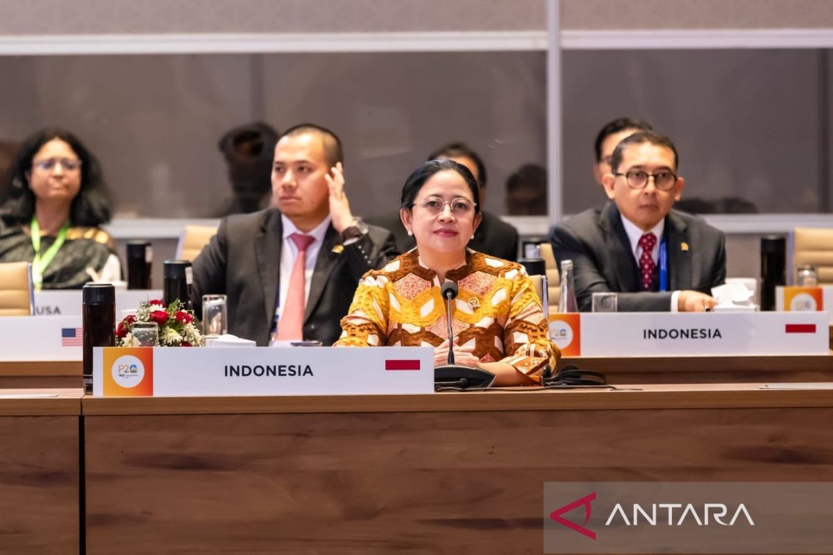 Puan tegaskan komitmen RI pada kesetaraan gender di P20 - ANTARA News