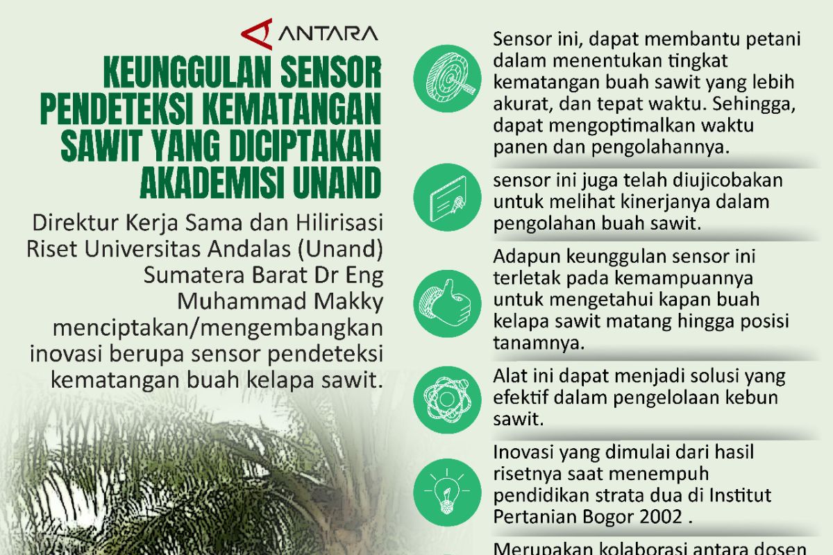 Keunggulan sensor pendeteksi kematangan sawit yang diciptakan Akademisi ...