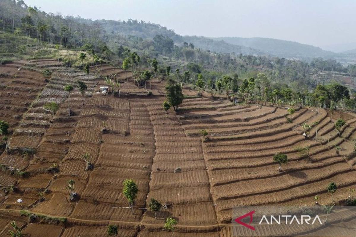 Lahan kritis di Jawa Barat - ANTARA News Jawa Barat