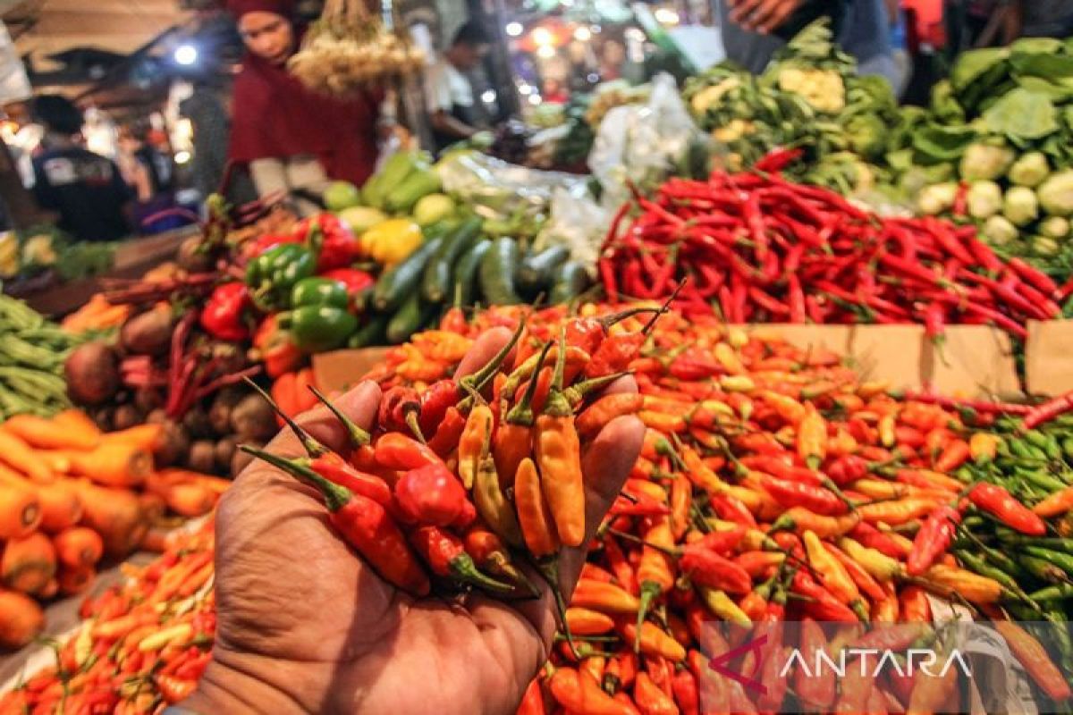 Pemerintah upayakan stabilisasi pasokan dan harga cabai rawit merah - ANTARA News