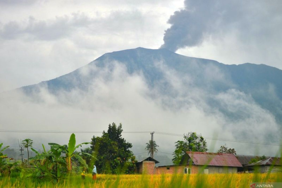 Gunung Marapi kembali erupsi - ANTARA News