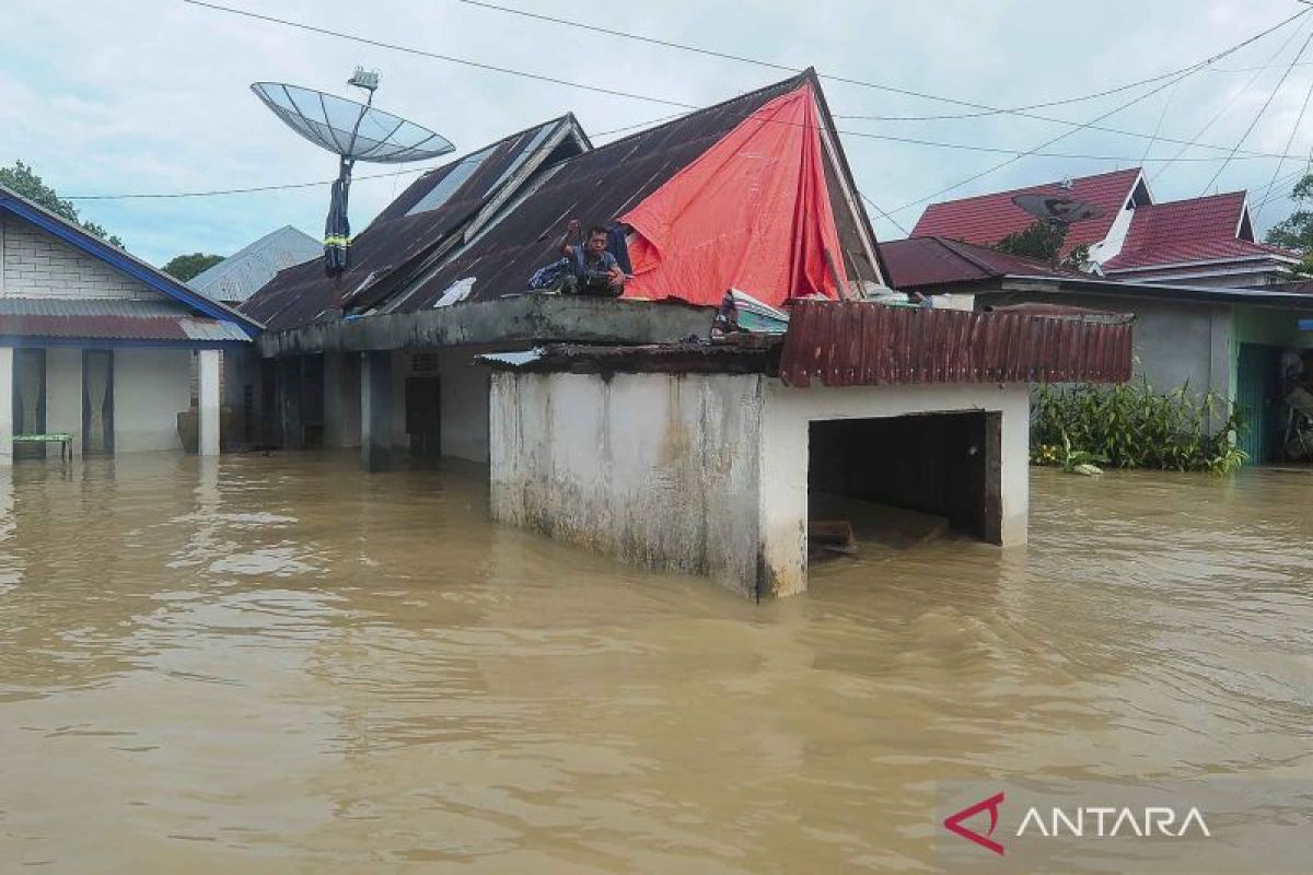 Banjir di Jambi - ANTARA News