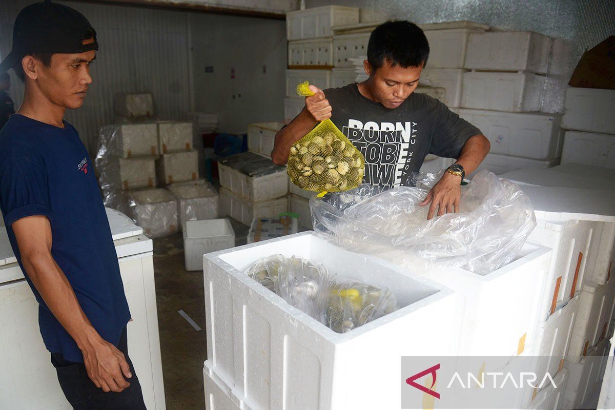 DJBC targetkan penerimaan bea cukai di Aceh Rp189,8 miliar pada 2024 ...