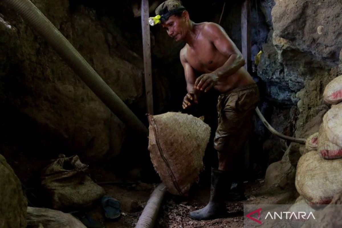 Menambang emas secara tradisional di Pulau Obi - ANTARA News