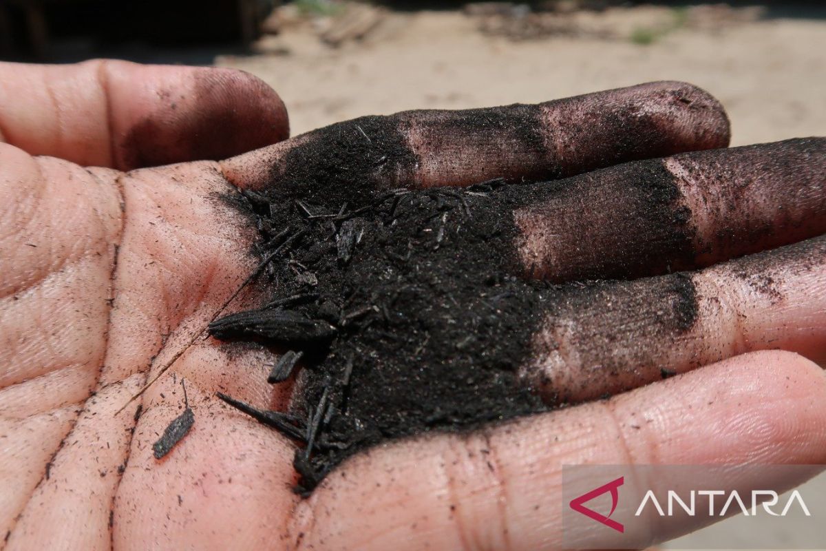 Eksotisme garam tradisional Indonesia - ANTARA News