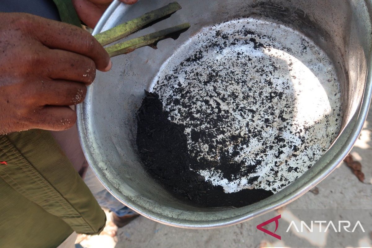 Eksotisme garam tradisional Indonesia - ANTARA News