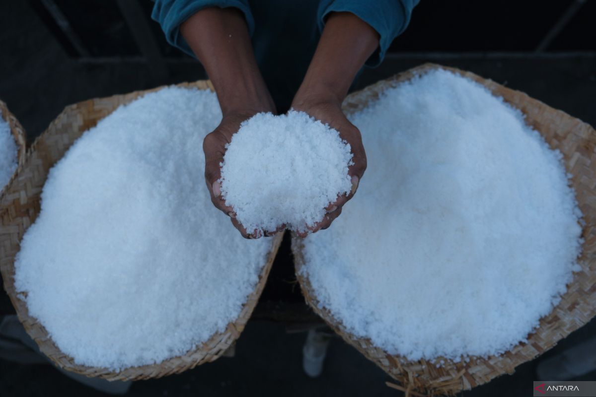 Eksotisme garam tradisional Indonesia - ANTARA News