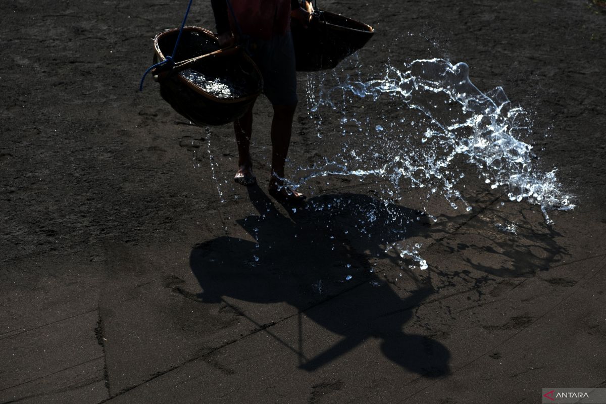 Eksotisme garam tradisional Indonesia - ANTARA News