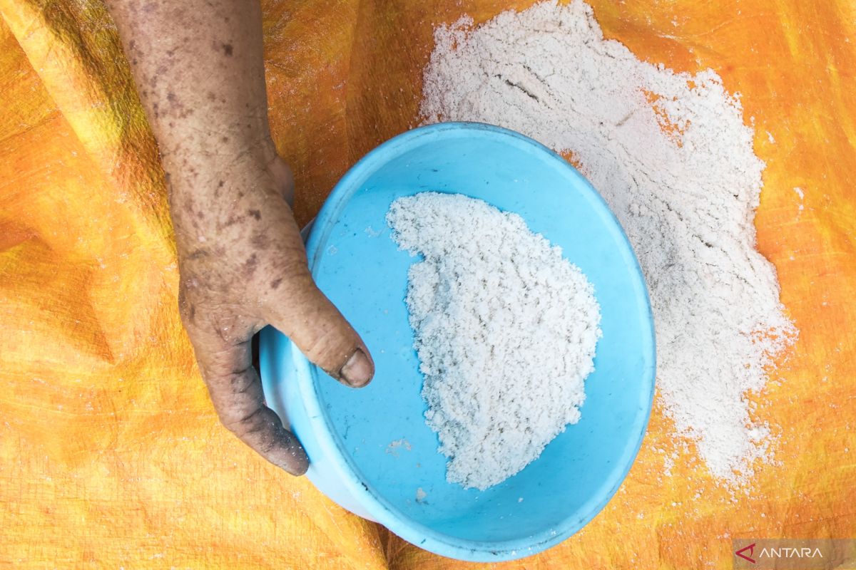 Eksotisme garam tradisional Indonesia - ANTARA News