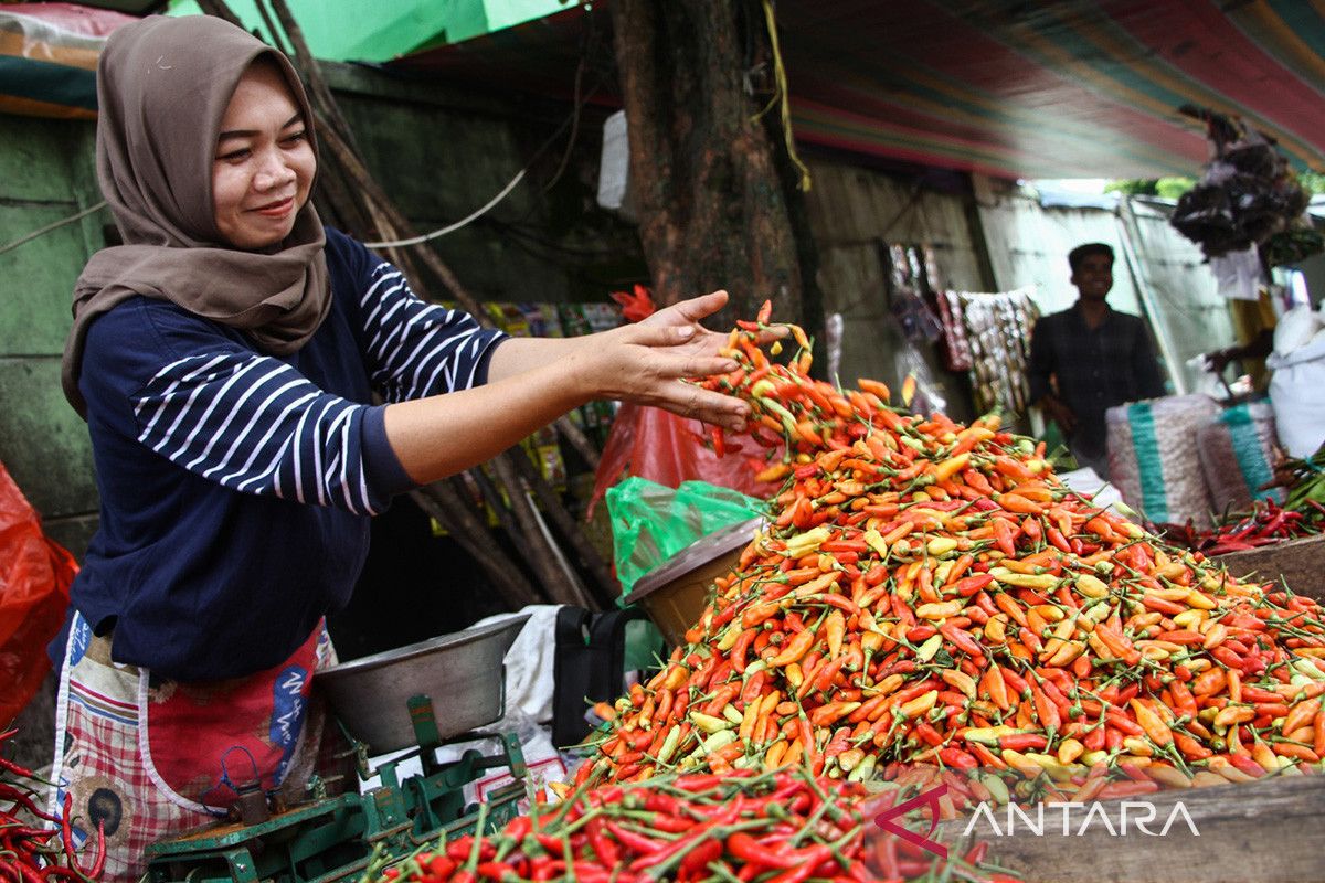 Harga Cabai Di Palangka Raya Naik - ANTARA News Kalimantan Tengah - Berita Terkini Kalimantan Tengah
