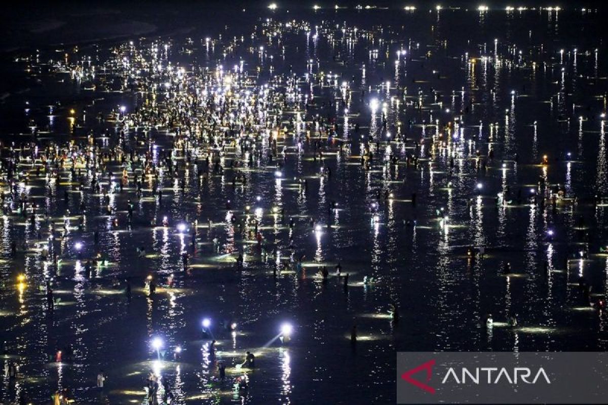Bau Nyale tradisi turun temurun masyarakat Sasak tingkatkan kunjungan ...