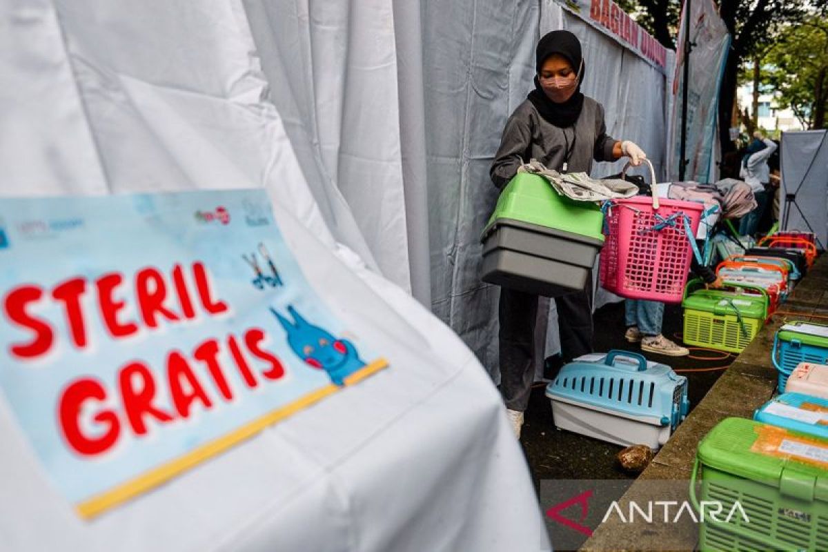Pemkot Bandung cegah potensi penyebaran penyakit dan overpopulasi ...