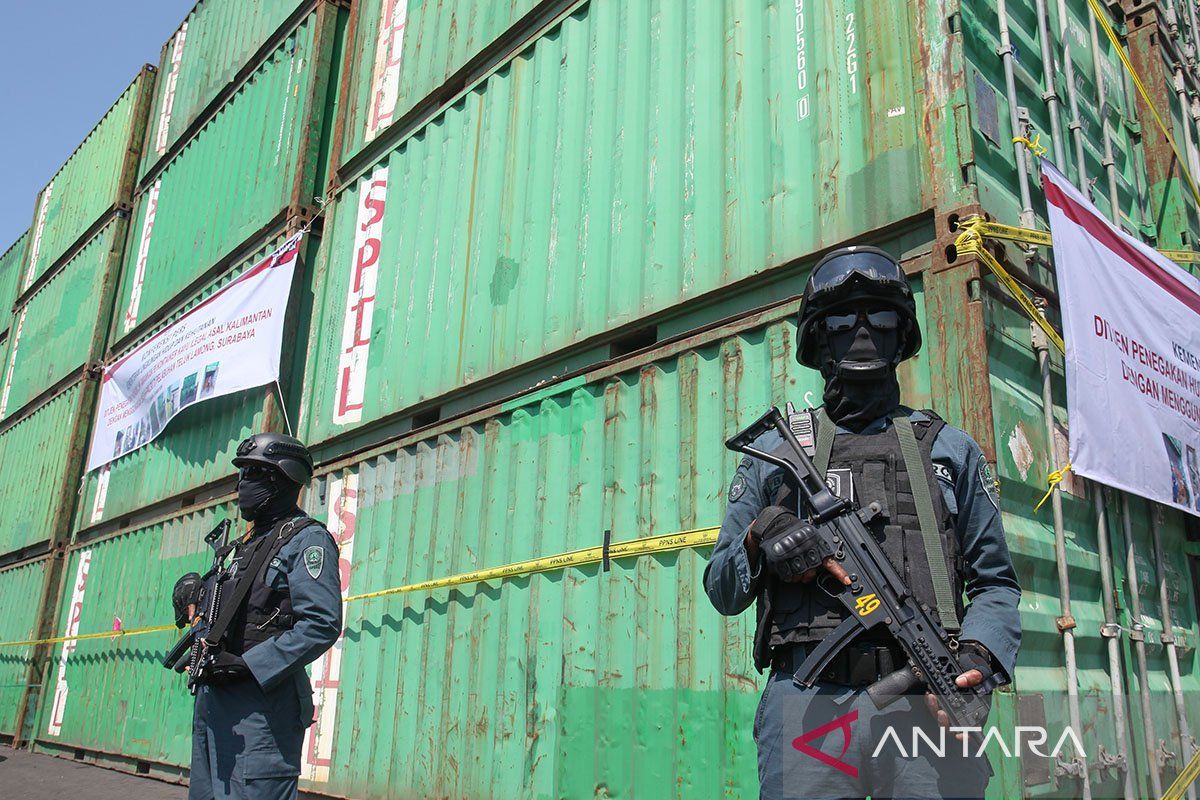Operasi penindakan kayu ilegal amankan 55 kontainer kayu olahan dari ... Operasi penindakan kayu ilegal amankan 55 kontainer kayu olahan dari ...