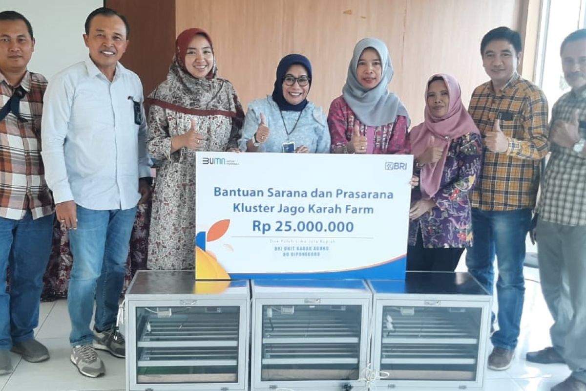 Klasterku Hidupku BRI bikin peternakan ayam di Surabaya berkembang dan ...
