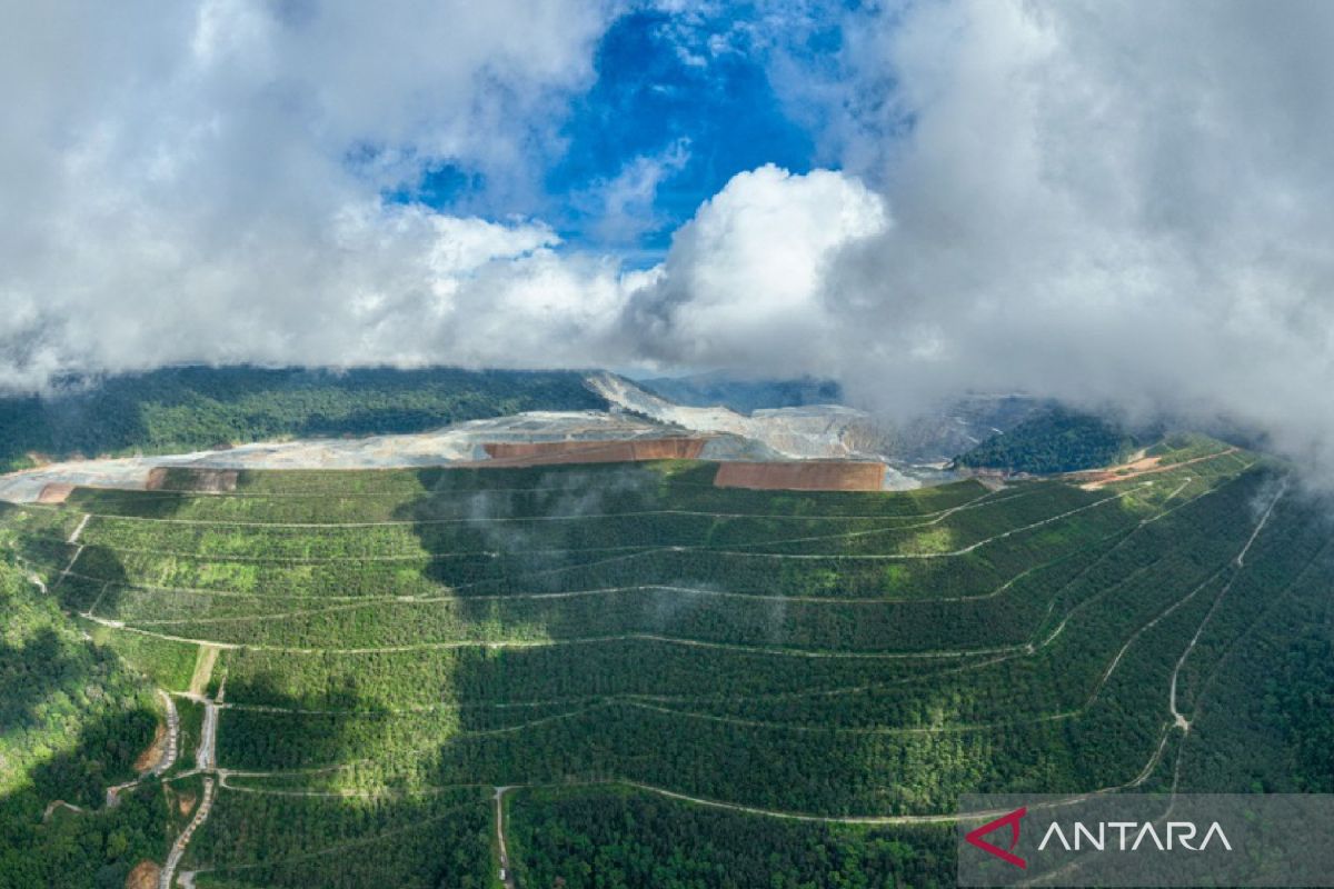 Amman efektifkan program reklamasi dengan manfaatkan teknologi terkini ...