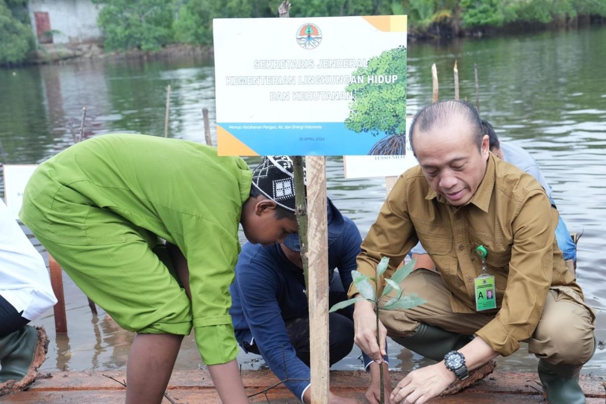 Gelar penanaman serentak, Sekjen KLHK tanam mangrove di Riau - ANTARA News
