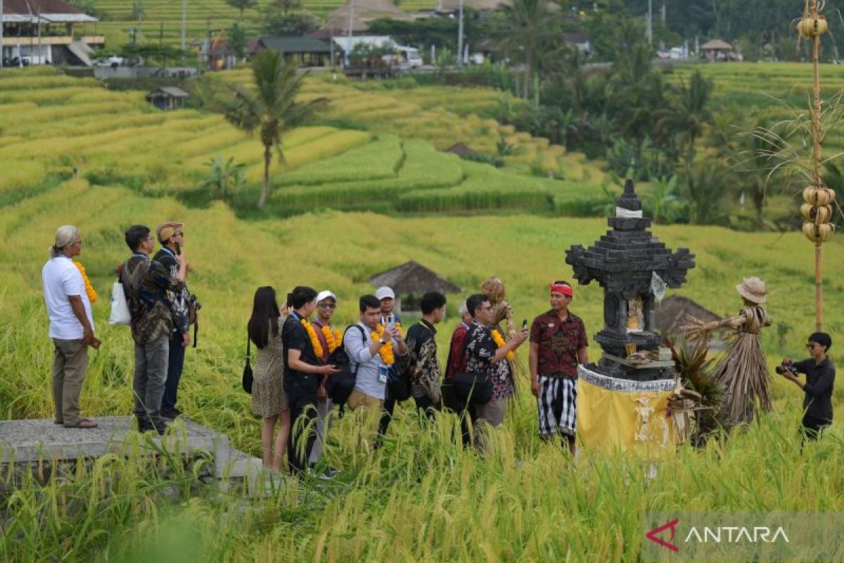 Partisipan World Water Forum kunjungi warisan budaya dunia Jatiluwih Bali - ANTARA News