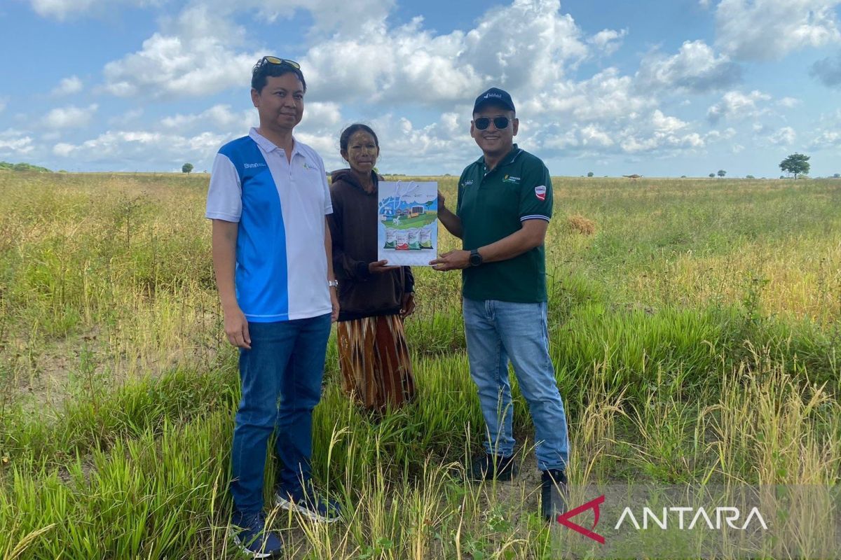 Pupuk Indonesia gelar program untuk cari potensi pangan Nusantara ...