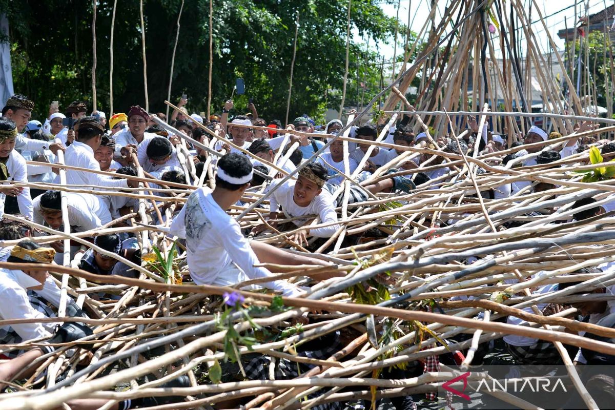 Tradisi Mekotek menolak bala sambut Hari Raya Kuningan di Bali - ANTARA News