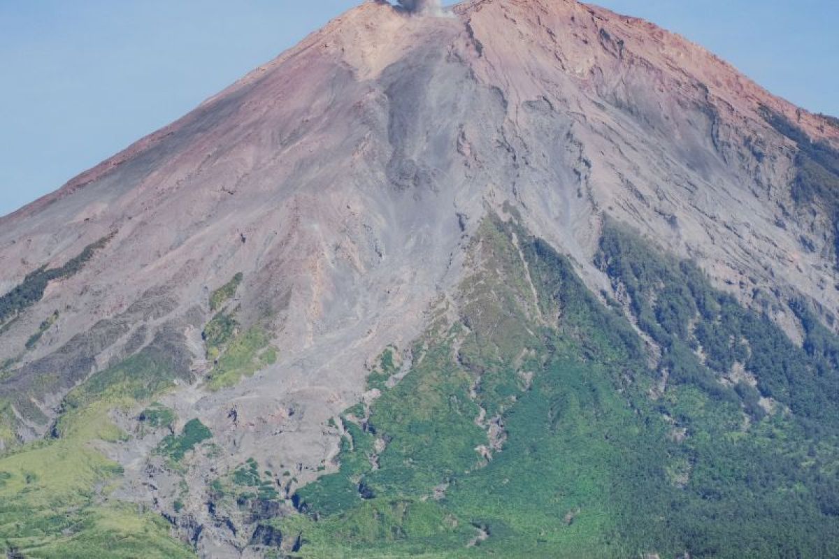 Aktivitas vulkanis Gunung Semeru - ANTARA News Jawa Timur