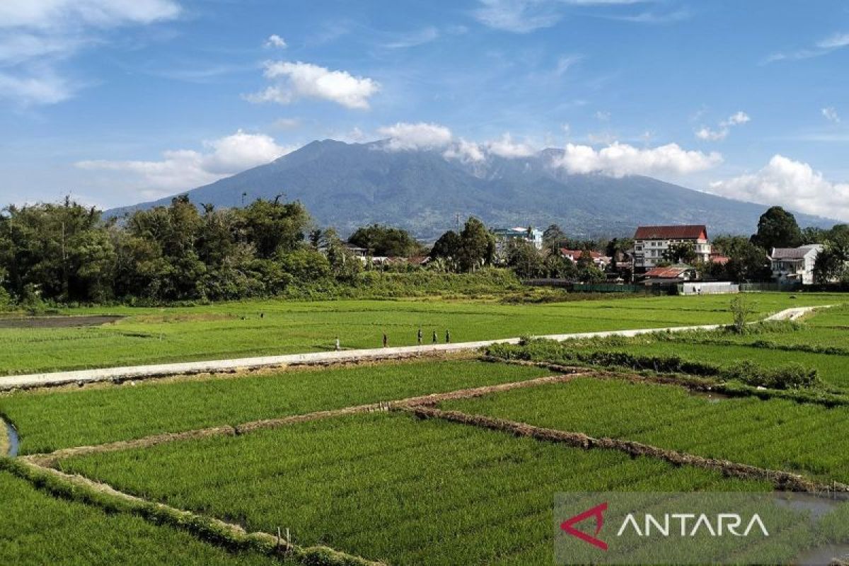 Gunung Marapi alami peningkatan aktivitas sejak 7 Oktober 2024 - ANTARA ...