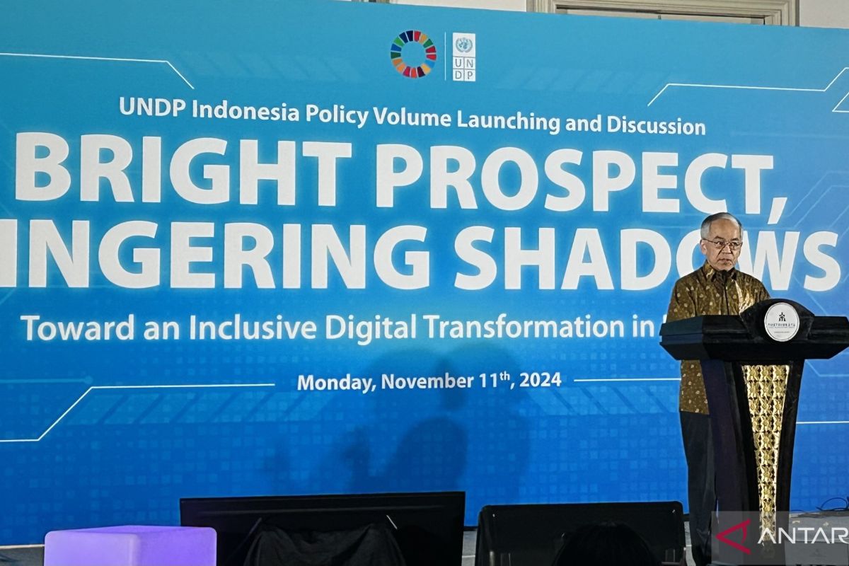 UNDP rekomendasikan Indonesia miliki indeks inklusivitas digital ...