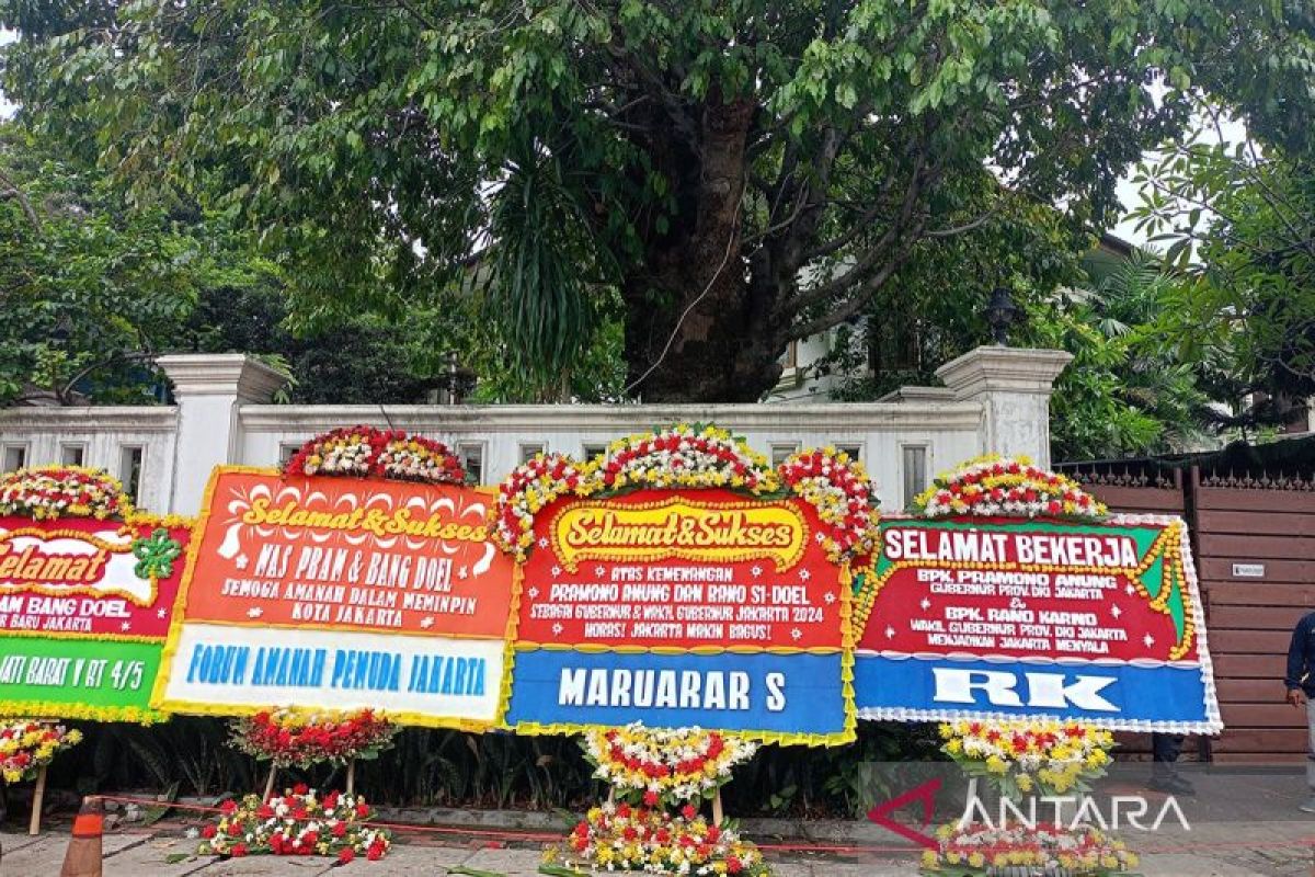 Karangan bunga penuhi rumah pemenangan Pramono-Rano - ANTARA News Karangan bunga penuhi rumah pemenangan Pramono-Rano - ANTARA News