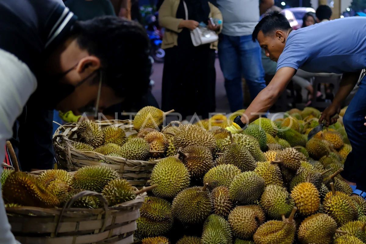 Penjualan durian Jemongko di Pontianak - ANTARA News Megapolitan