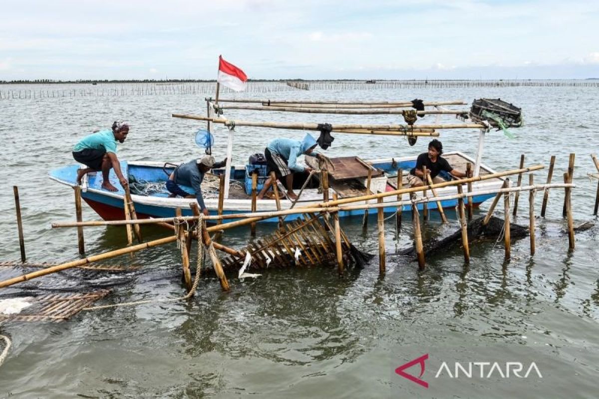 Ratusan anggota TNI AL dan nelayan bongkar pagar laut di Tangerang - ANTARA News