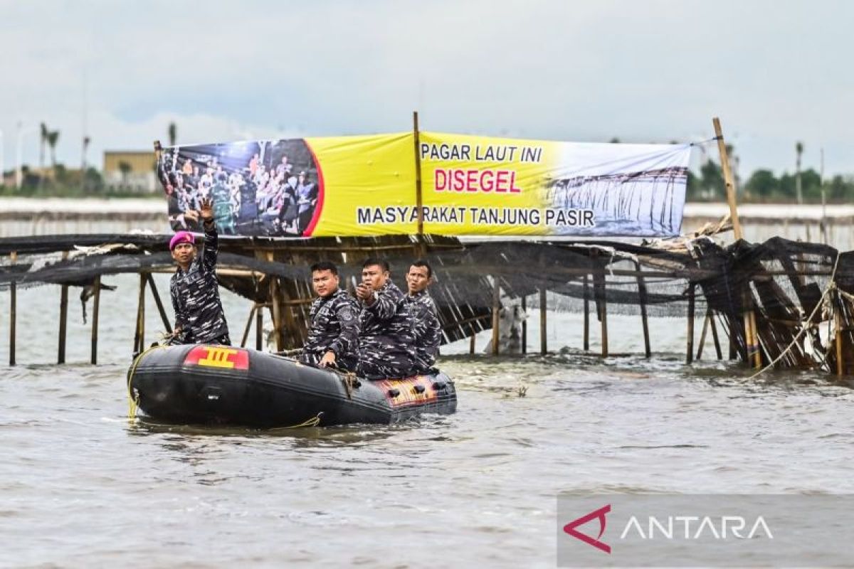 Ratusan anggota TNI AL dan nelayan bongkar pagar laut di Tangerang - ANTARA News
