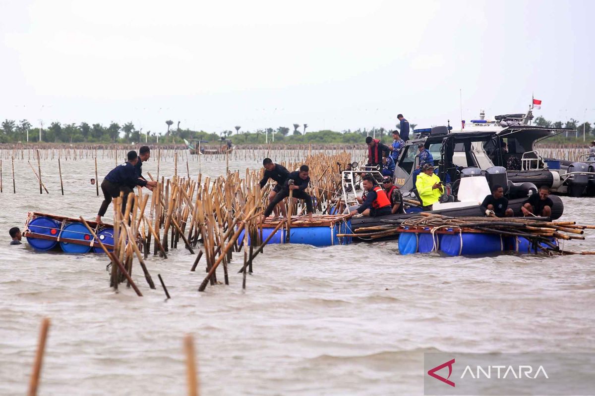 TNI AL kembali bongkar pagar laut di perairan Banten - ANTARA News
