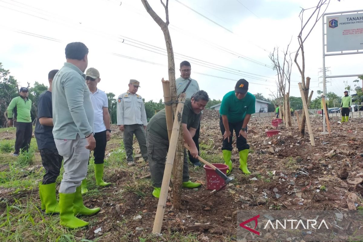 Jakbar tanam 1.960 pohon selama 2024 - ANTARA News