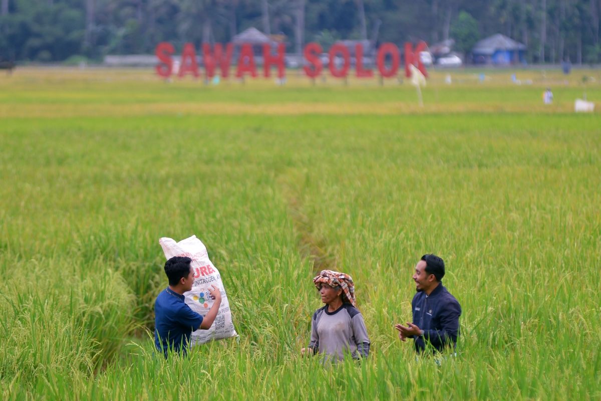 Sosialisasi dan edukasi petani di Solok - ANTARA Sumbar