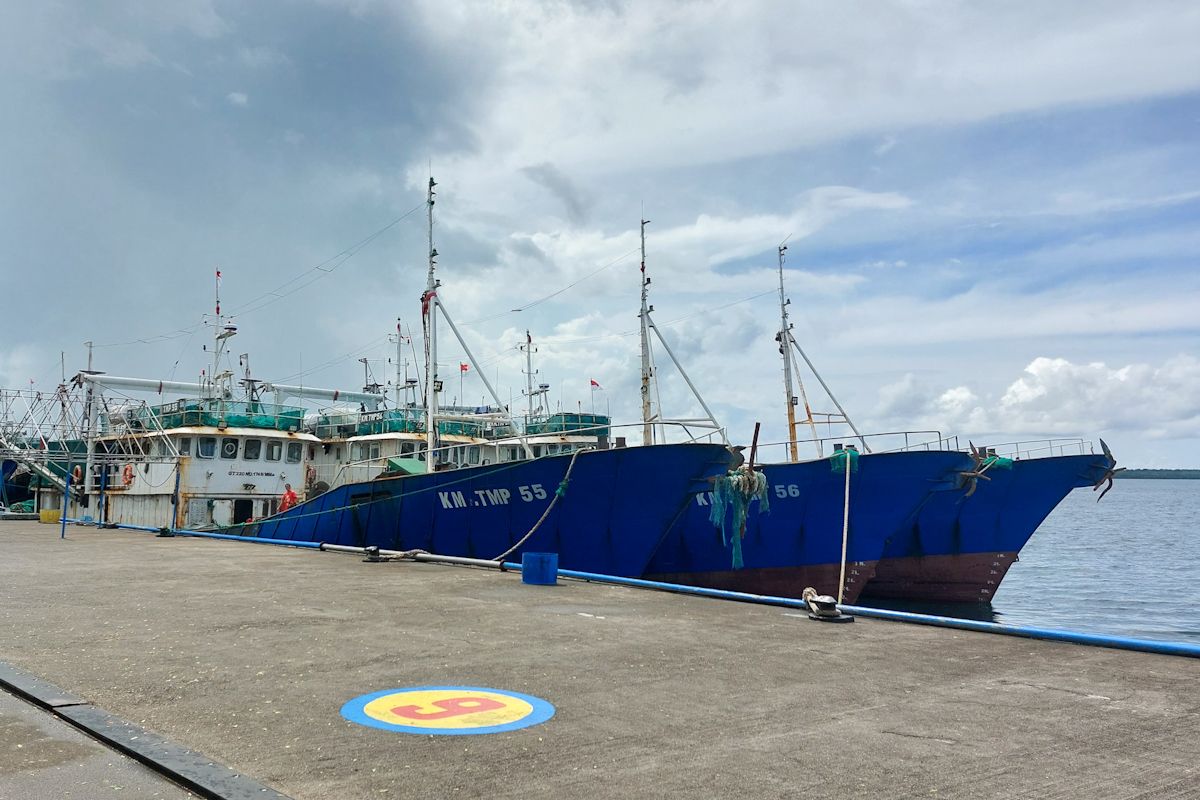 KKP dorong modernisasi kapal perikanan Indonesia agar sesuai standar - ANTARA News