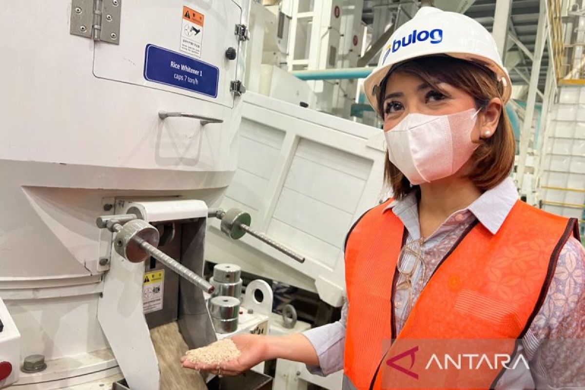 PCO: Pemerintah investasi Rp16,6 triliun ke Bulog sejahterakan petani - ANTARA News