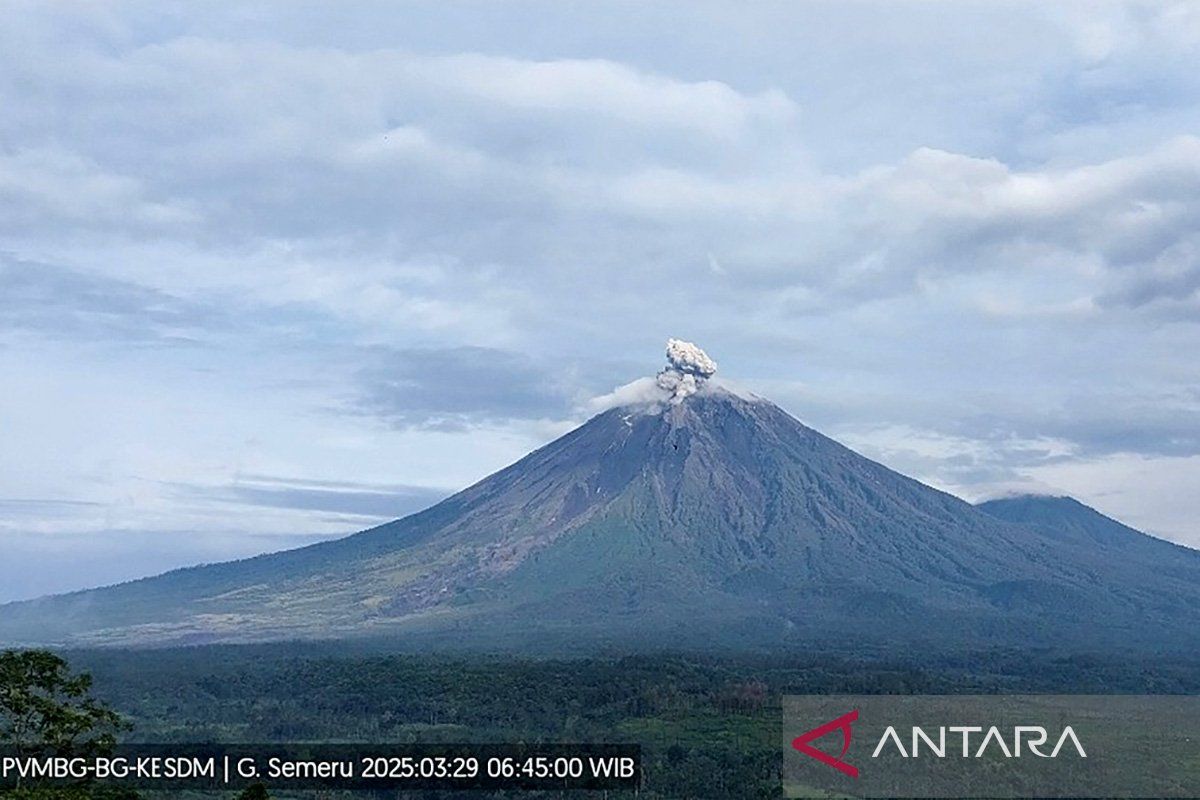 Gunung Semeru erupsi dengan tinggi kolom letusan mencapai 800 meter - ANTARA News
