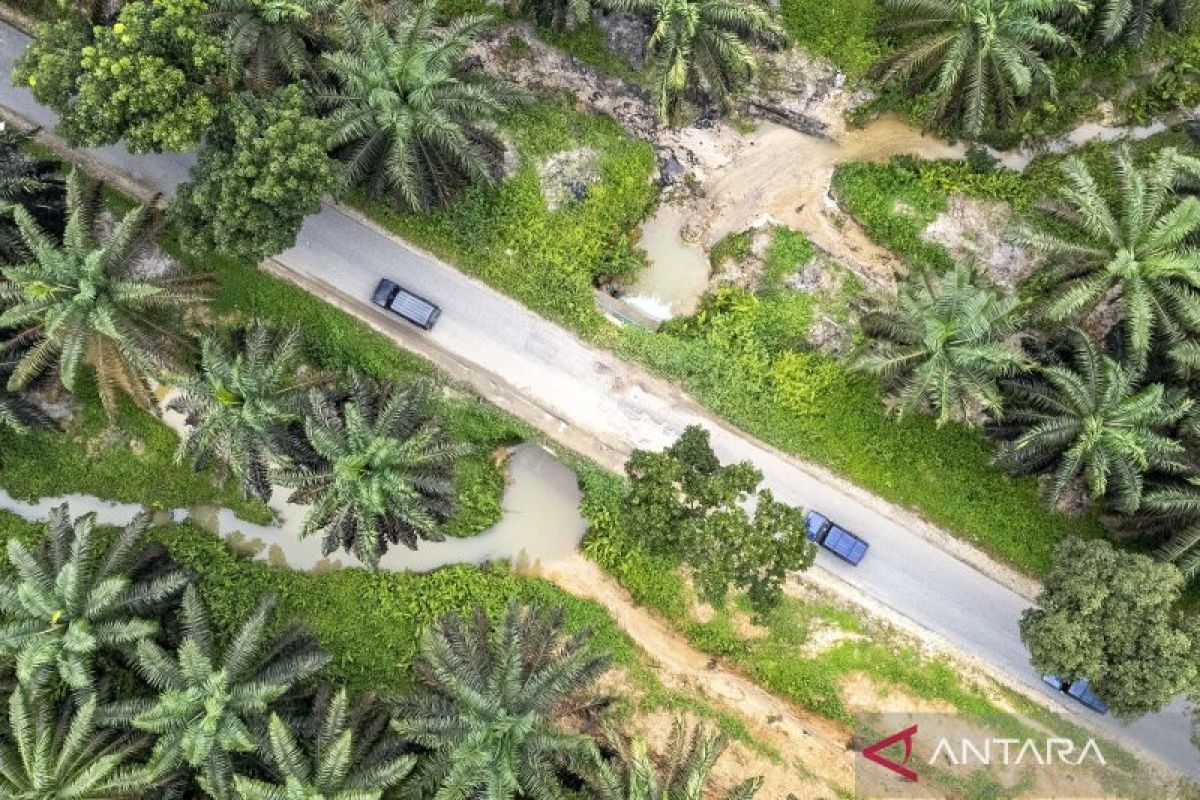 Arus balik jalur alternatif Jambi-Sumbar - ANTARA News