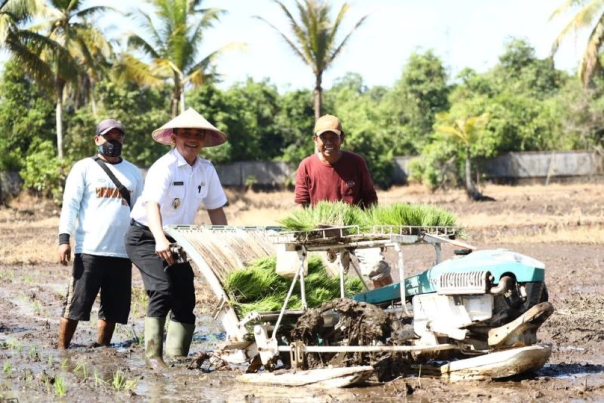 Pemkot Pontianak dukung swasembada pangan targetkan produksi padi 800 ton per tahun - ANTARA ...