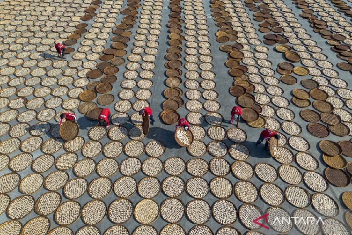 Realisasi Penyaluran KUR per April 2025 capai Rp76,49 triliun - ANTARA News