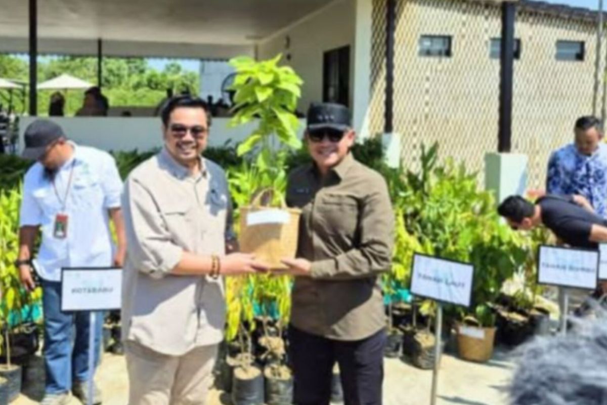 Wamenhut serahkan 3.000 tanaman kepada tujuh kabupaten/kota di Kalsel ...