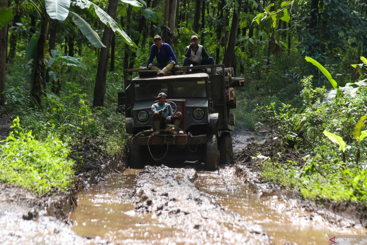 Produksi kayu hasil hutan - ANTARA News Jawa Timur