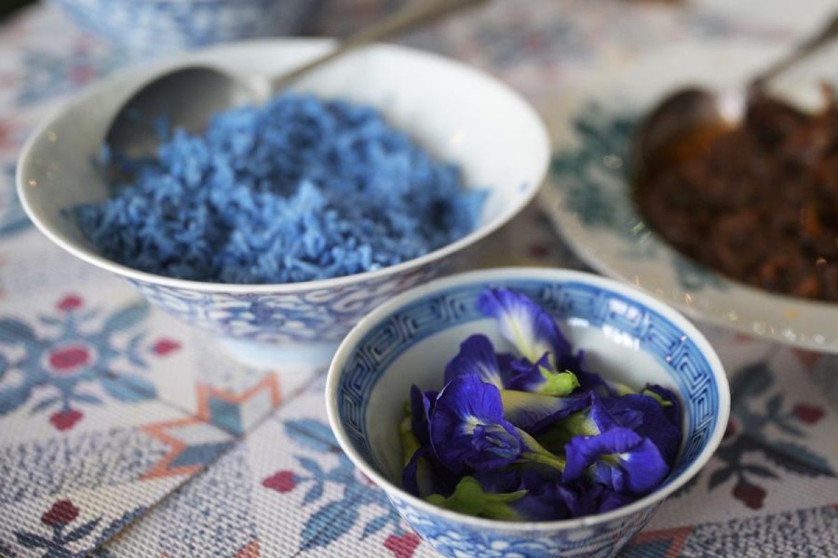 Album Asia: Mencicipi bacang biru Nyonya di Museum The Intan Singapura ...