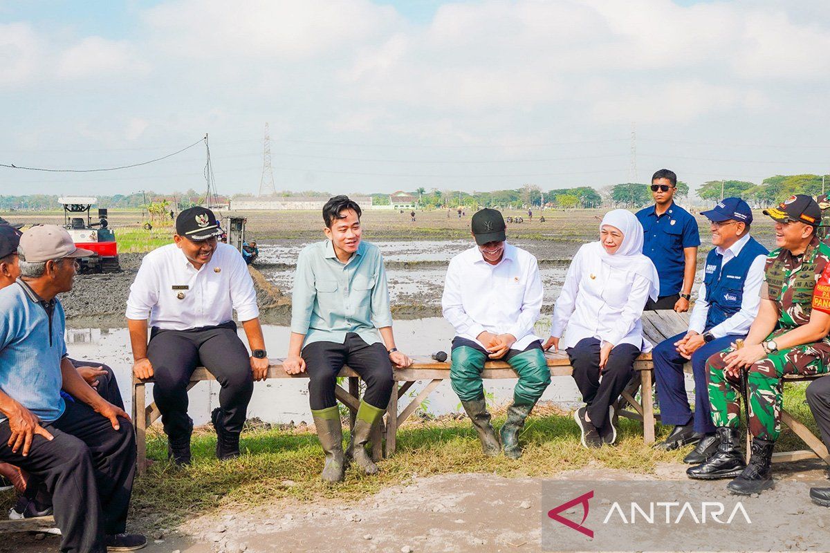 Khofifah: Jatim kontributor padi tertinggi nasional - ANTARA News